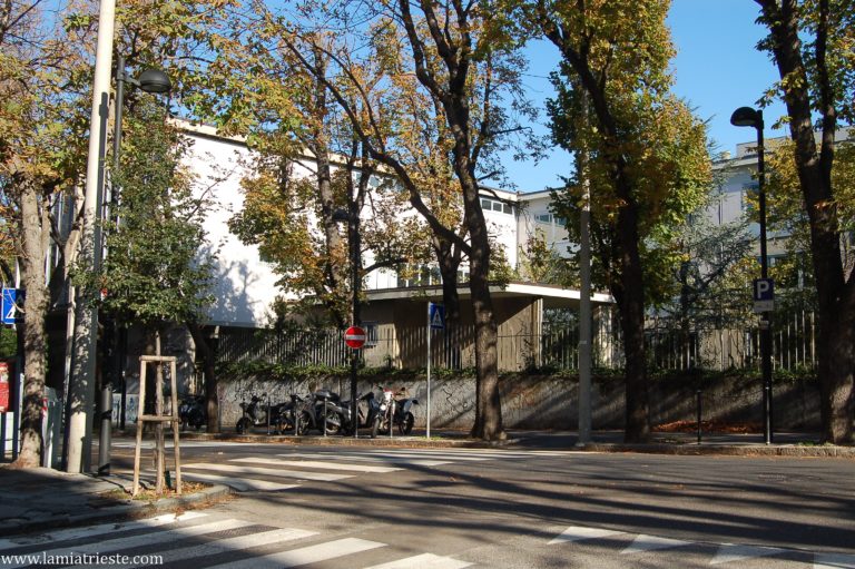 Liceo Francesco Petrarca - La mia Trieste
