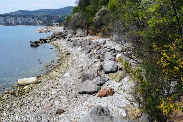 La Costiera triestina - La mia Trieste